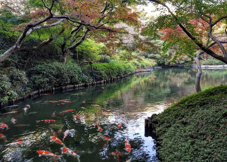 Shirokane, Tokyo: Quiet Luxury Living Near Central… | PropertyAccess